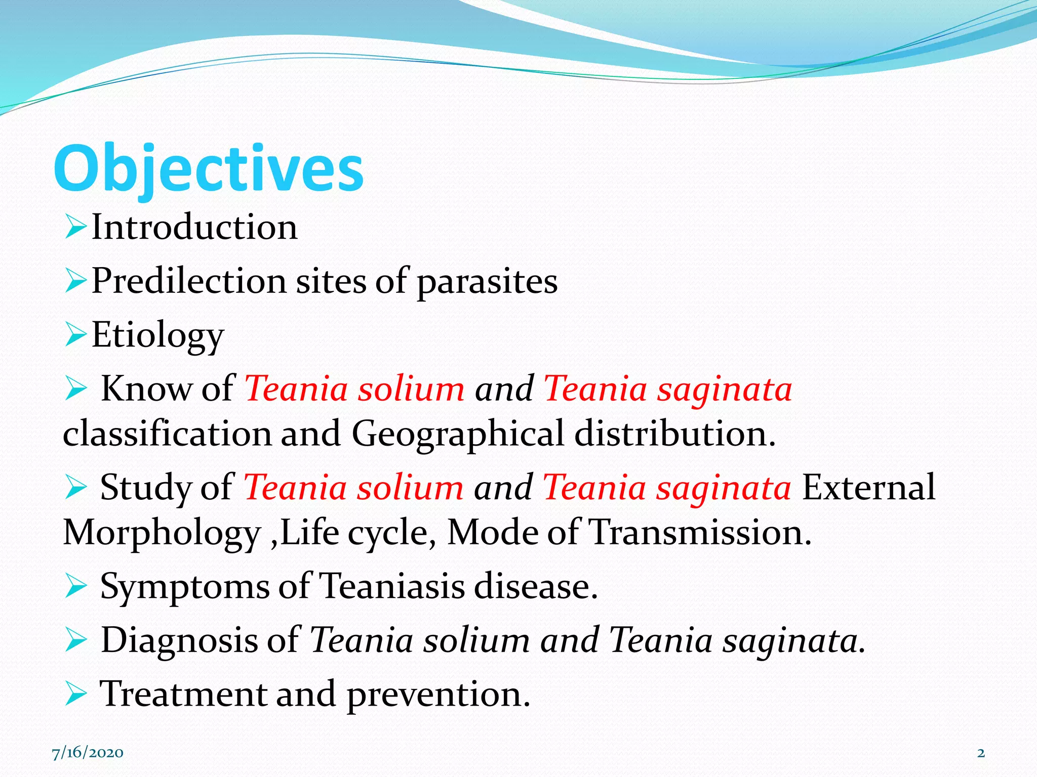 Taenisasi presentation 31 12-2018 | PPTX