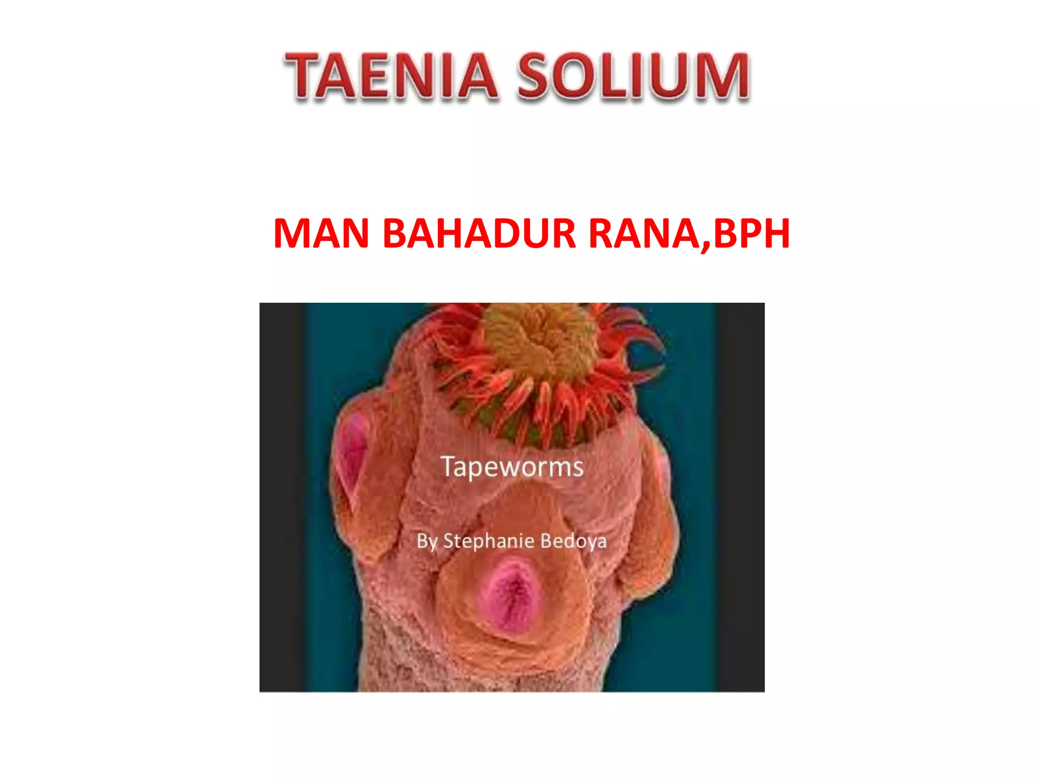 Taenitaenia solium | PPTX