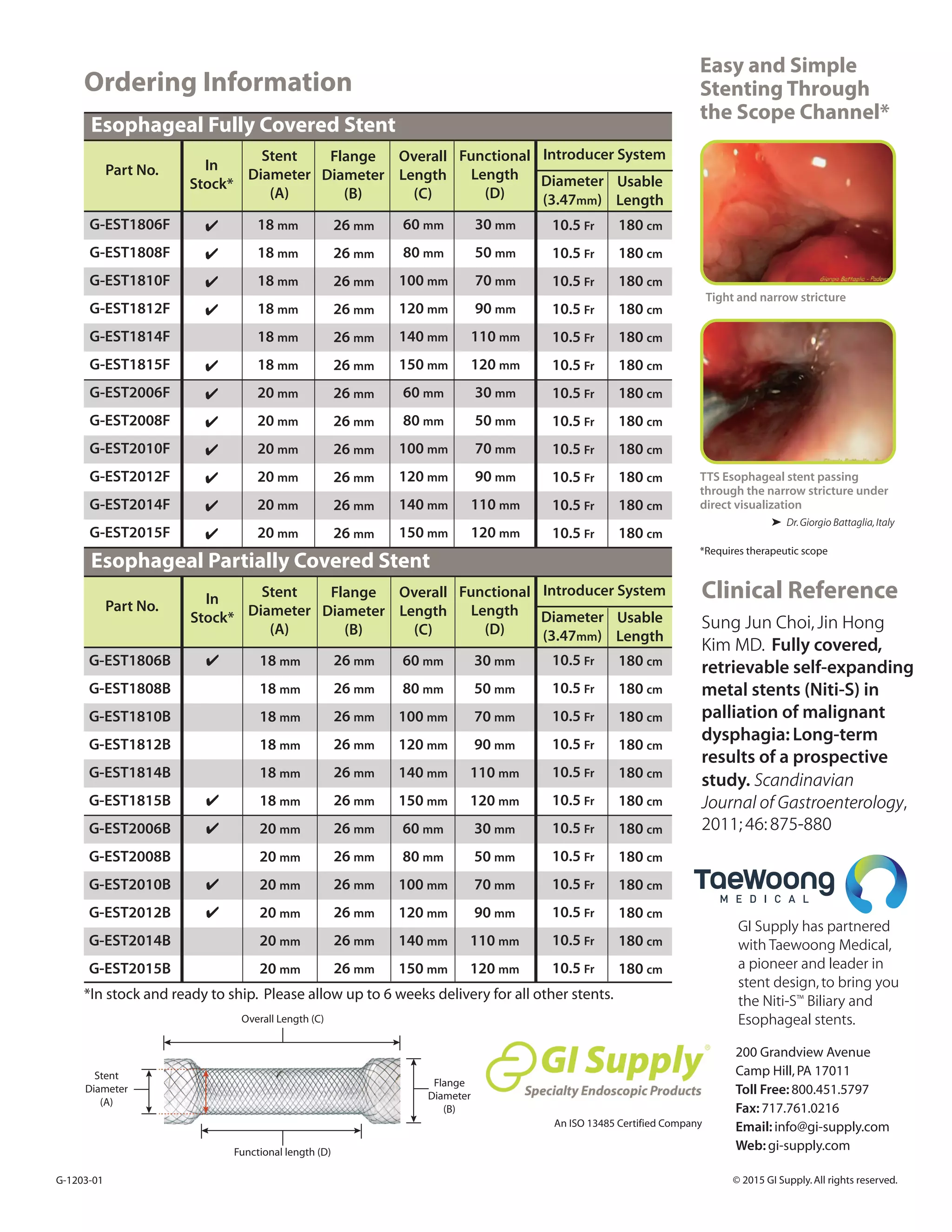 Taewoong Niti-S Through the Scope Esophageal Stent | TTS | PDF