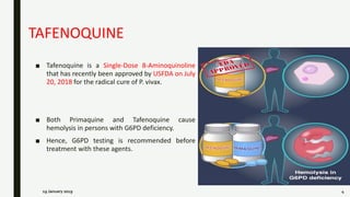 NEJM: Tafenoquine | PPTX | Infectious Diseases | Diseases and Conditions