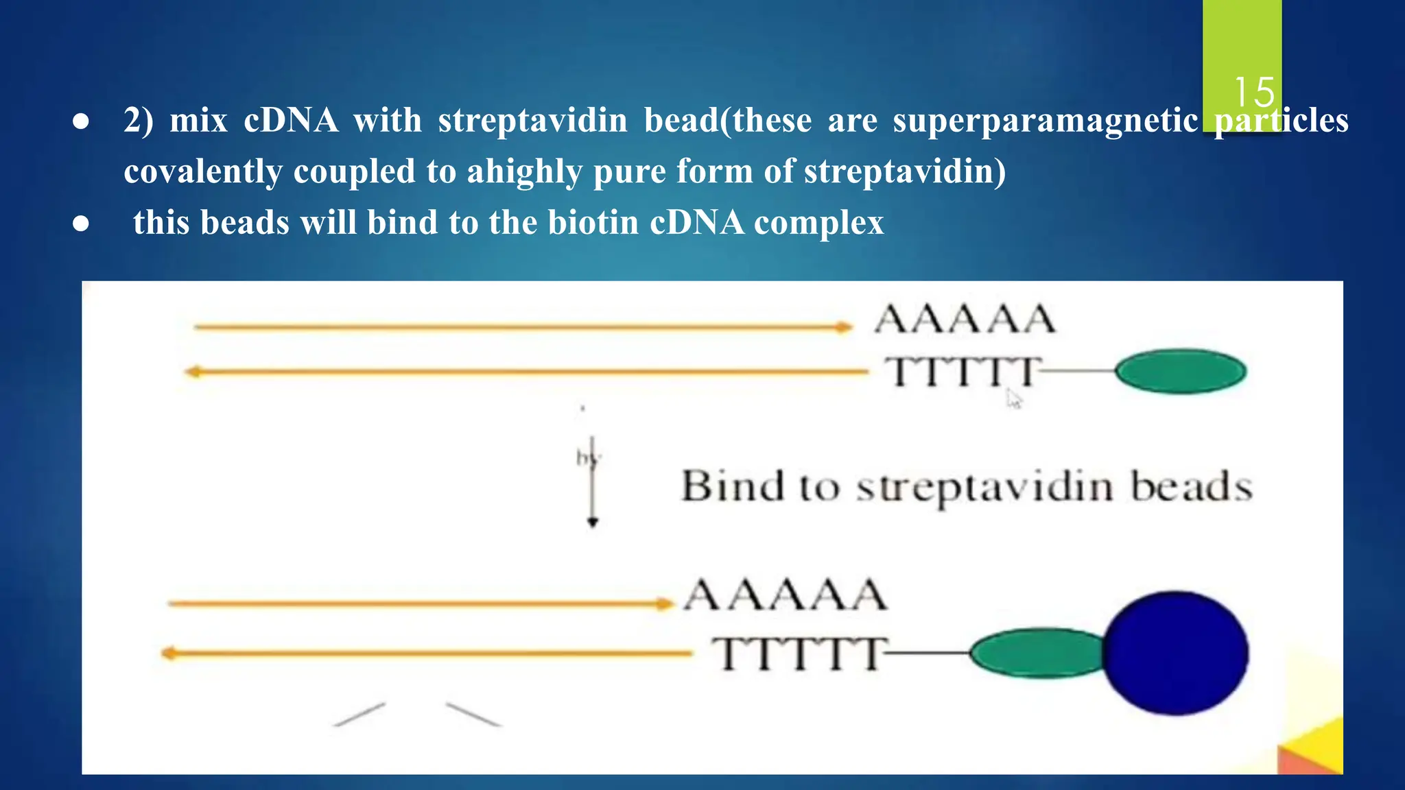 METHODS OF TRANSCRIPTOME ANALYSIS....pptx