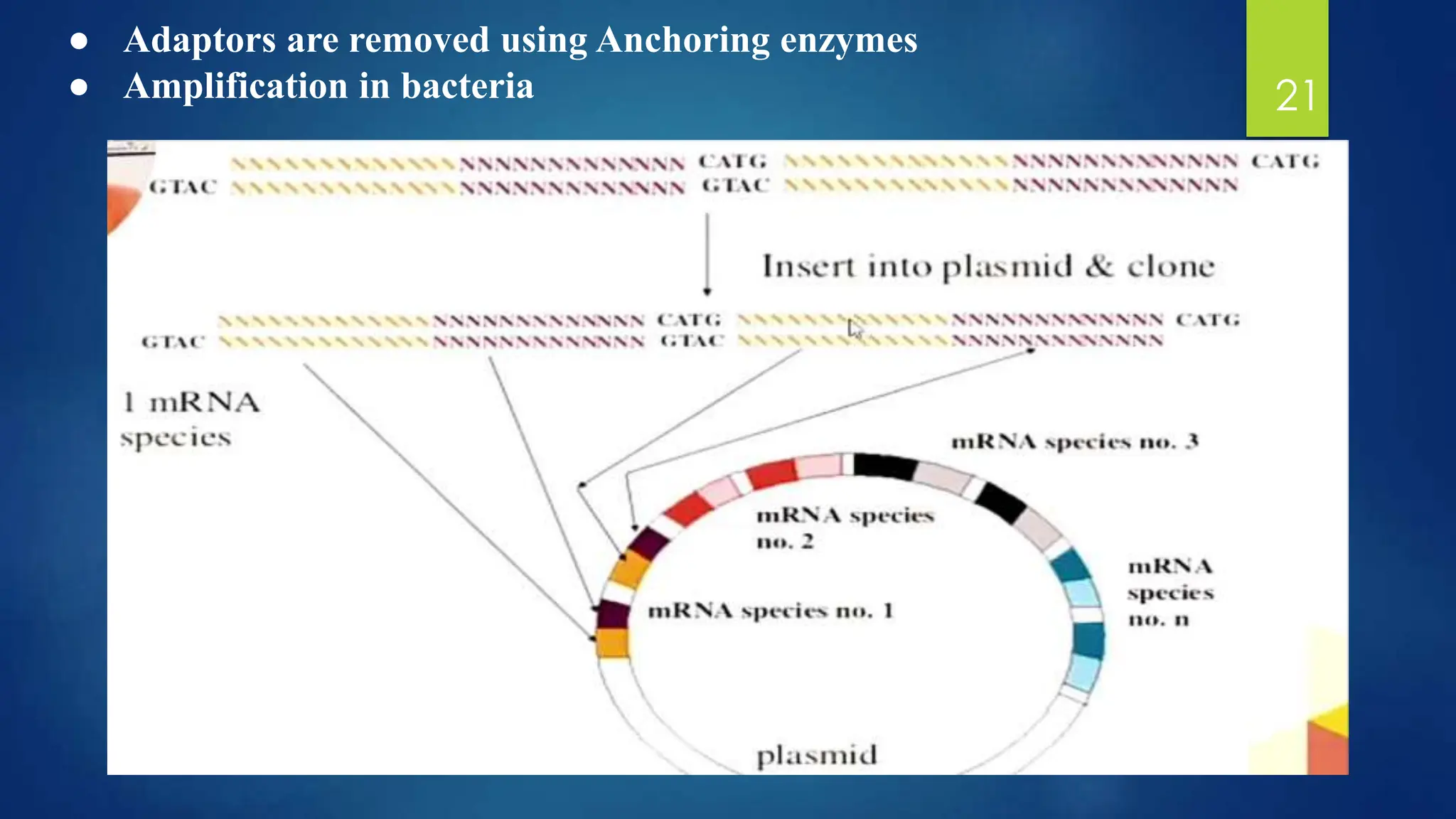 METHODS OF TRANSCRIPTOME ANALYSIS....pptx