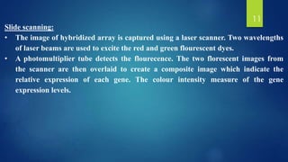 METHODS OF TRANSCRIPTOME ANALYSIS....pptx
