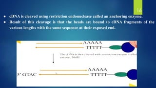 METHODS OF TRANSCRIPTOME ANALYSIS....pptx