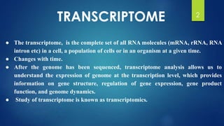 METHODS OF TRANSCRIPTOME ANALYSIS....pptx
