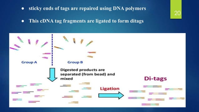 METHODS OF TRANSCRIPTOME ANALYSIS....pptx | Biotech and Biomedical ...