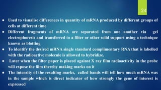 METHODS OF TRANSCRIPTOME ANALYSIS....pptx