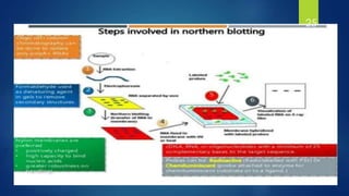 METHODS OF TRANSCRIPTOME ANALYSIS....pptx