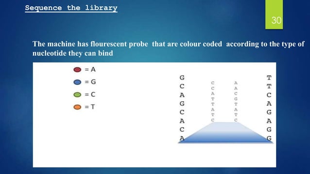 METHODS OF TRANSCRIPTOME ANALYSIS....pptx | Biotech and Biomedical ...