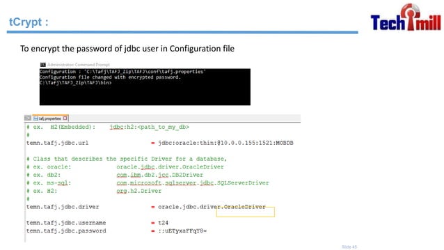 TAFJ | PPTX | Programming Languages | Computing