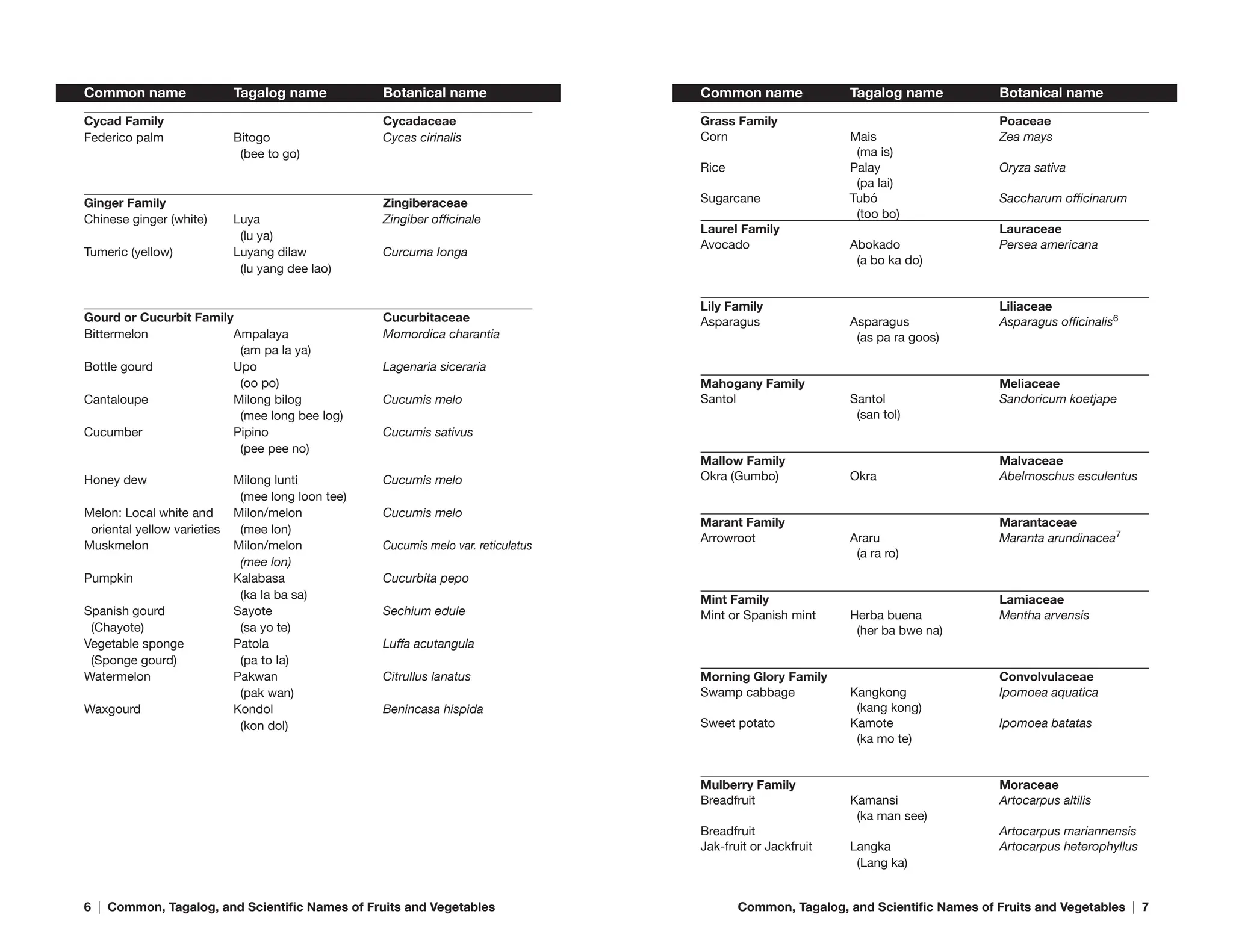 Scientific names of vegetables in our garden | PDF
