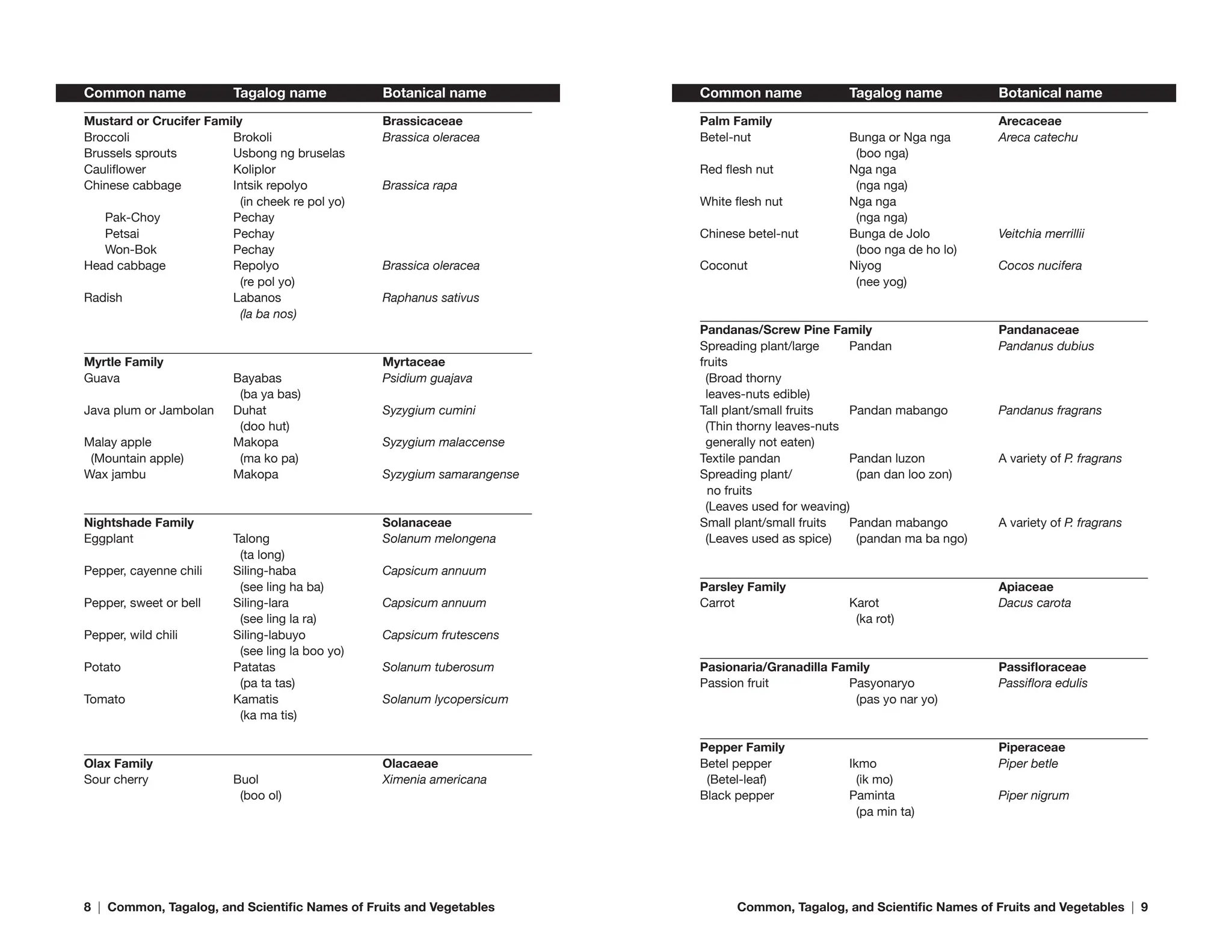 Scientific names of vegetables in our garden | PDF