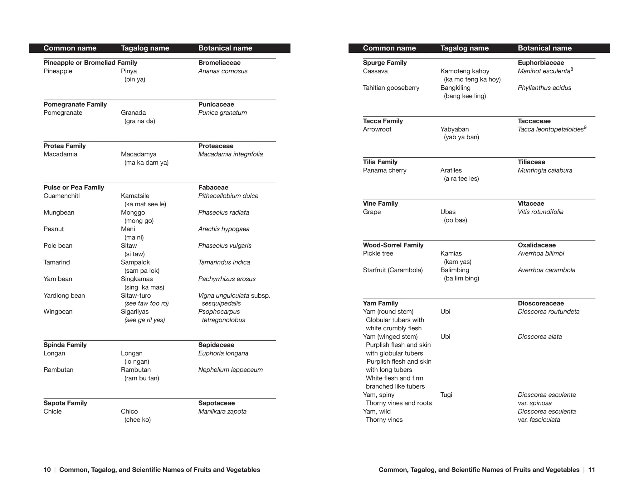 Scientific names of vegetables in our garden | PDF