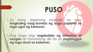 Sakit sa puso | PPT