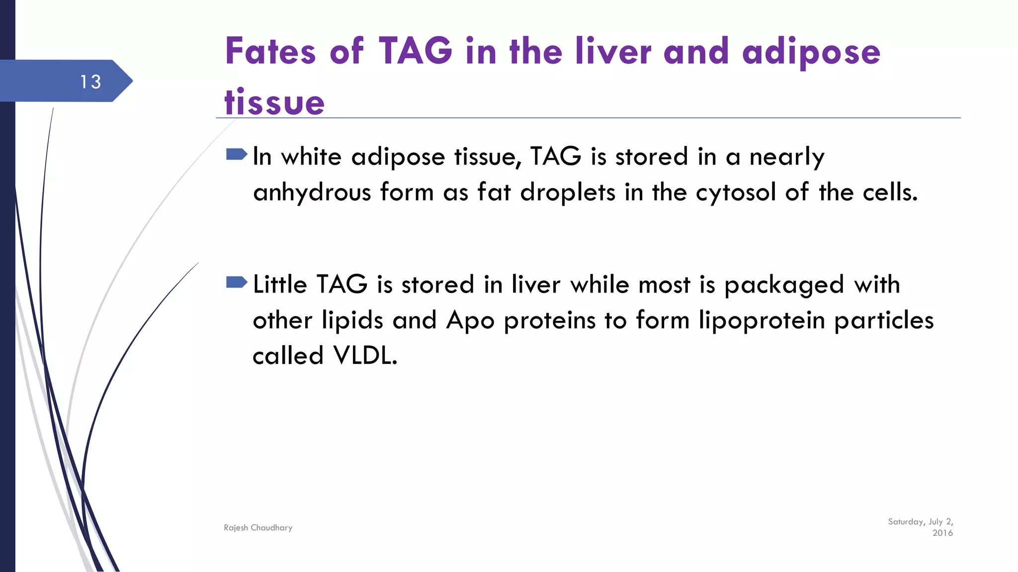 Tag biosynthesis, storage and functions | PDF