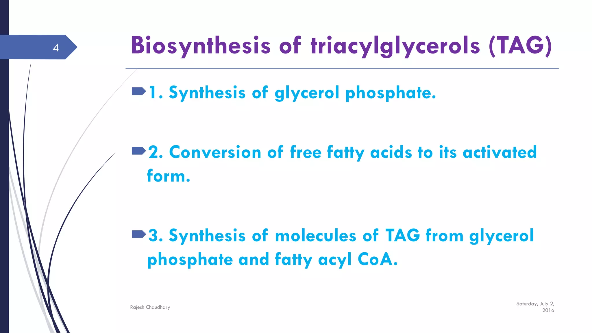 Tag biosynthesis, storage and functions | PDF