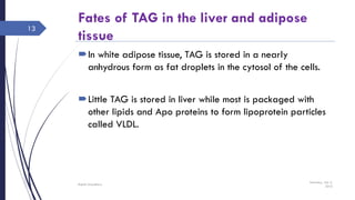 Tag biosynthesis, storage and functions | PDF