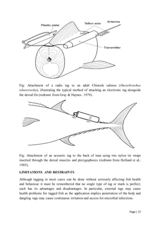 Tagging methods for stock assessment and research in fisheries | DOCX