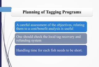 Tagging methods for stock assessment and research in fisheries | PPTX