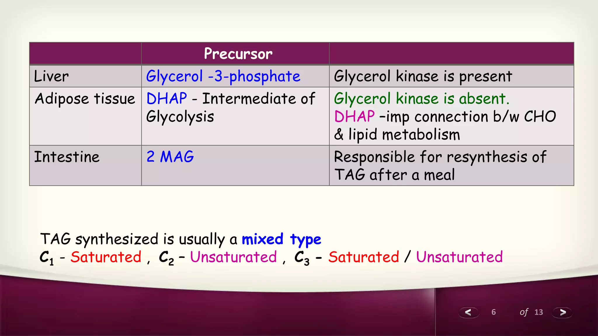 Tag metabolism | PPSX