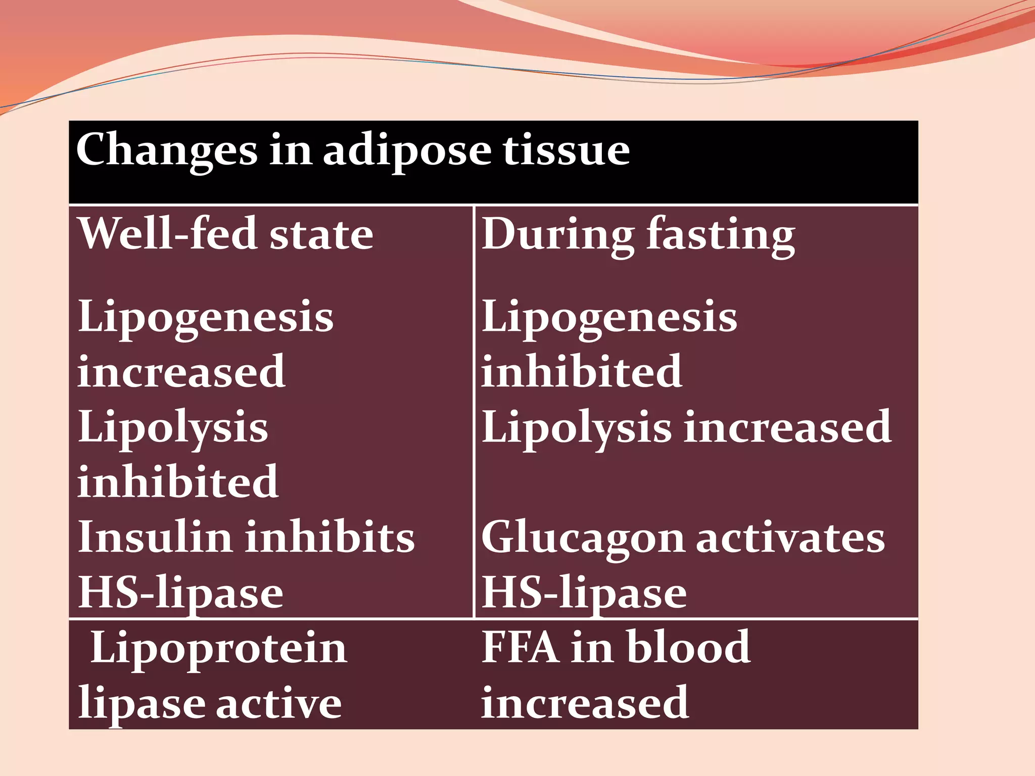 Triglyceride metabolism | PPTX