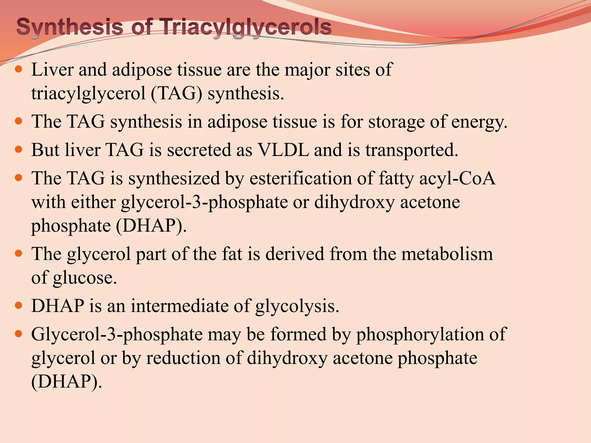 Triglyceride metabolism | PPTX