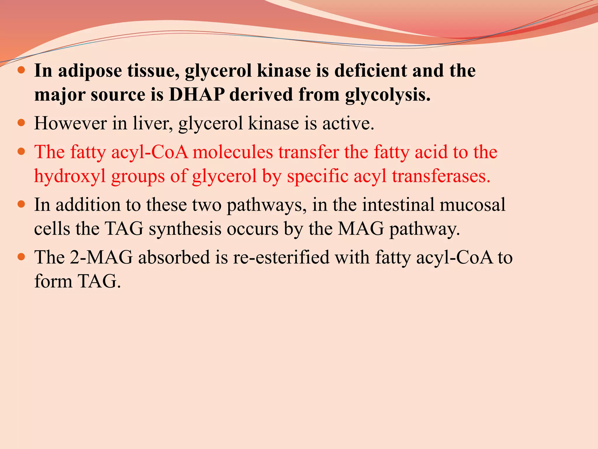Triglyceride metabolism | PPTX