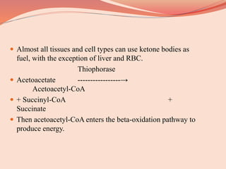 Triglyceride metabolism | PPTX