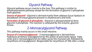 triacylglycerol metabolism | PPTX