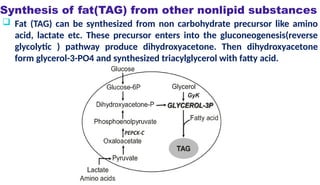Triacylglycerol synthesis and Lipolysis -1New.pptx