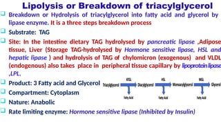 Triacylglycerol synthesis and Lipolysis -1New.pptx