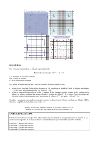 Recuento En Camara Neubauer Ciencias De La Tierra Y De La Vida Biologa