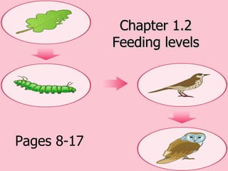 Taha Science Isu | PPT
