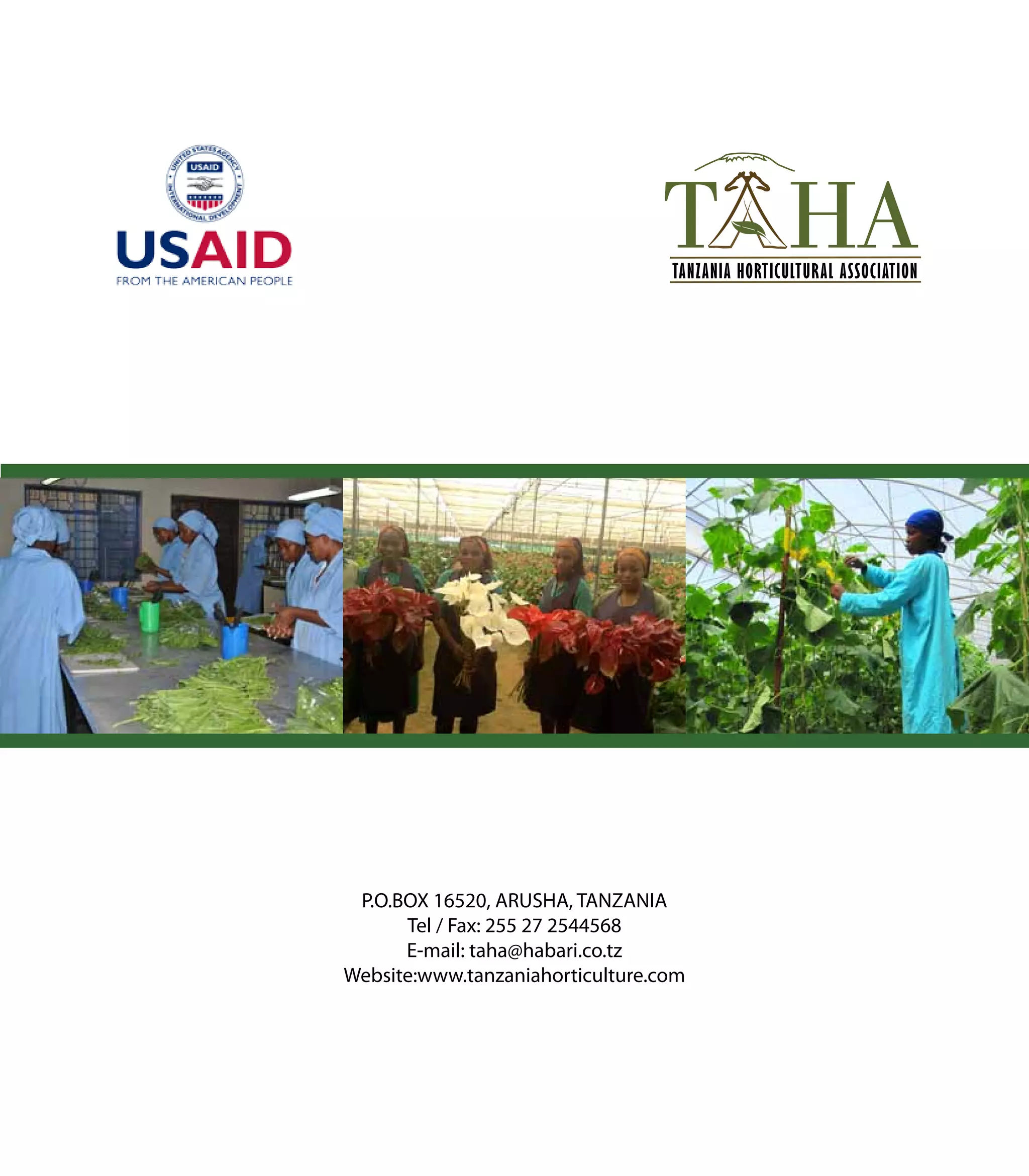 Taha achievement booklet | PDF