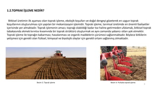 Taha Burak SARIER - Dik Toprak Frezeleri | PPTX