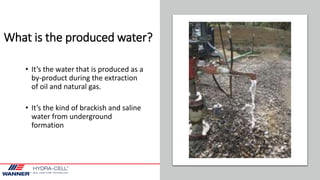 RELIABLE & COST-EFFECTIVE WAY FOR HANDLING PRODUCED WATER USING SEAL ...