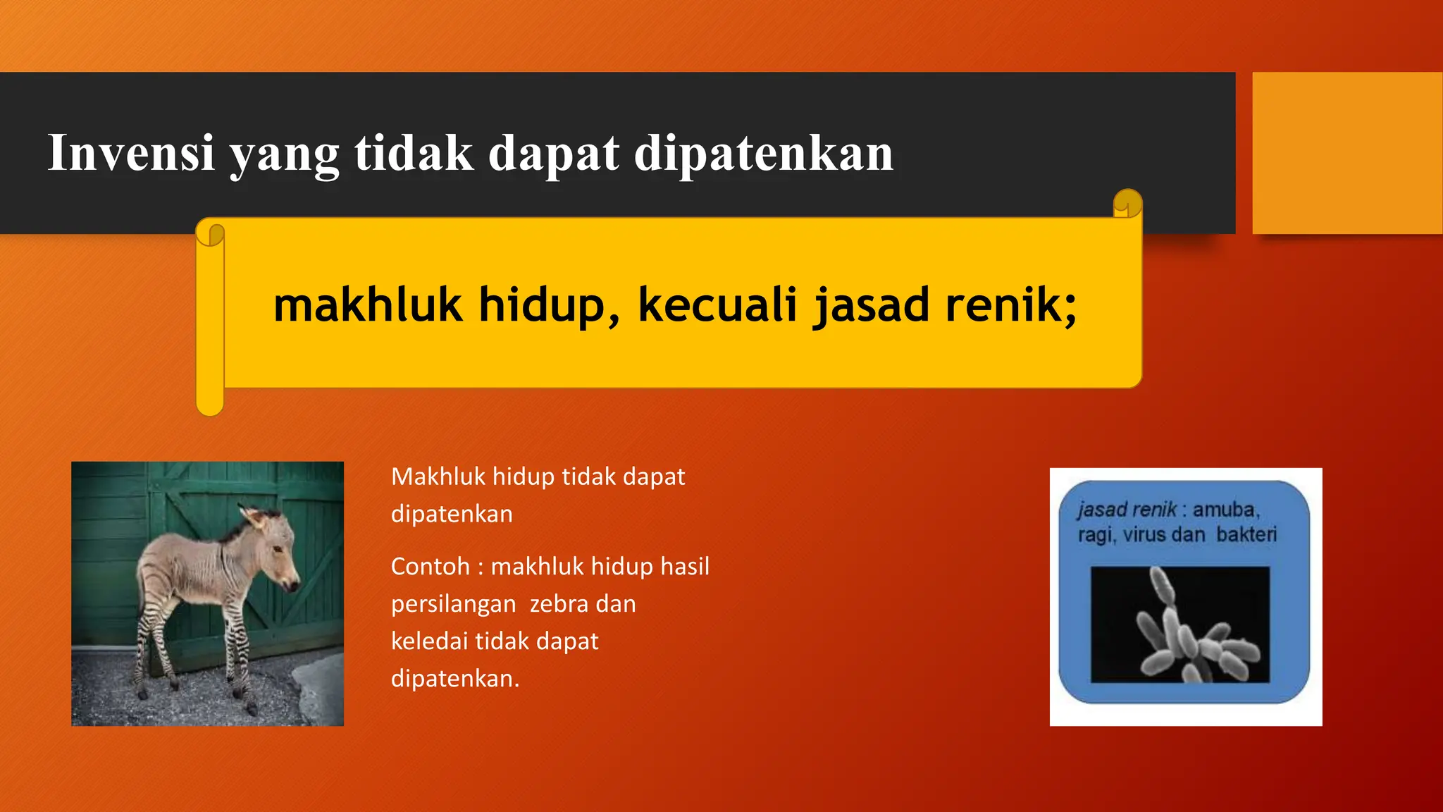 Materi tahapan pemeriksaan substantif pada kegiatan Edukasi Paten ...