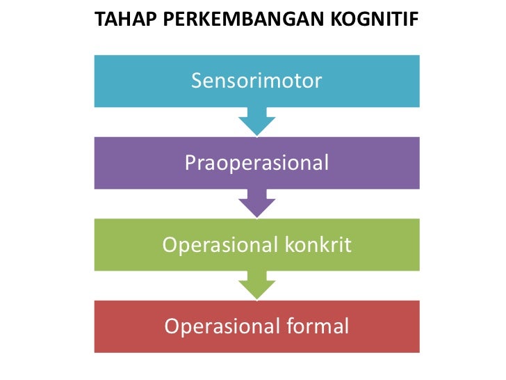 Tahap Perkembangan Kognitif Tahap Perkembangan Kognitif