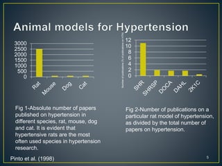 Genetic Rat Models for Hypertension:Relationship to Human Hypertension ...