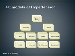 Genetic Rat Models for Hypertension:Relationship to Human Hypertension ...