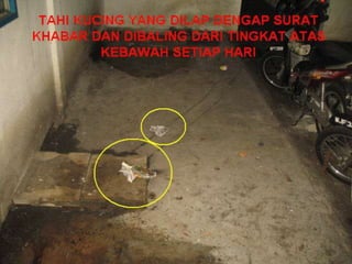Tahi Kucing | PPTX
