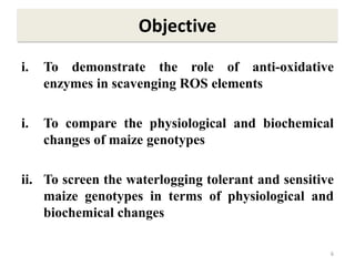 Comparative Analysis of Biochemical & Physiological Responses of Maize ...
