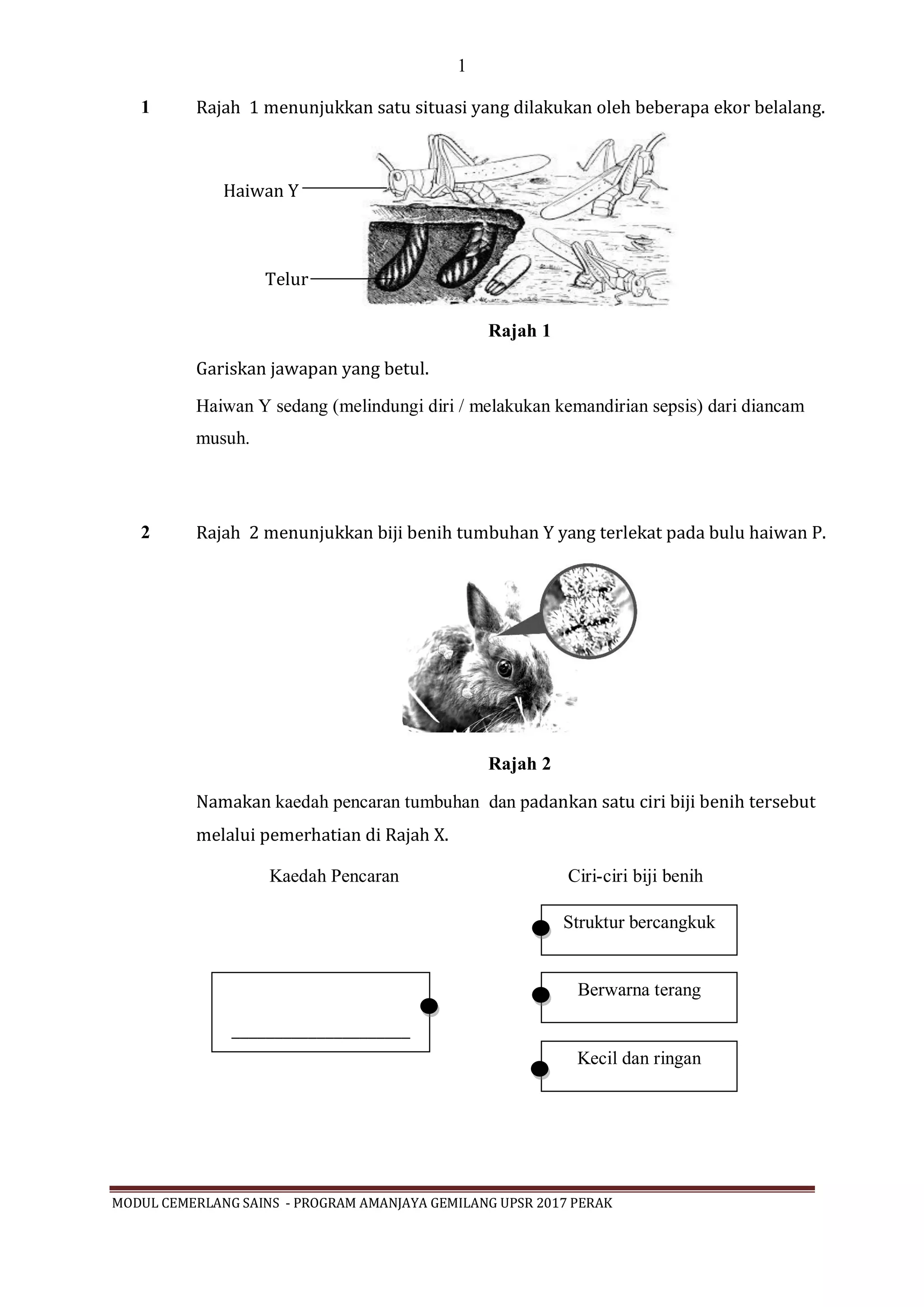 Tahun 5-set-modul-cemerlang-sains-tahun-5-2 (1) | PDF