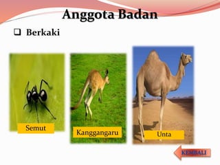 Tahun 3 nota haiwan | PPSX