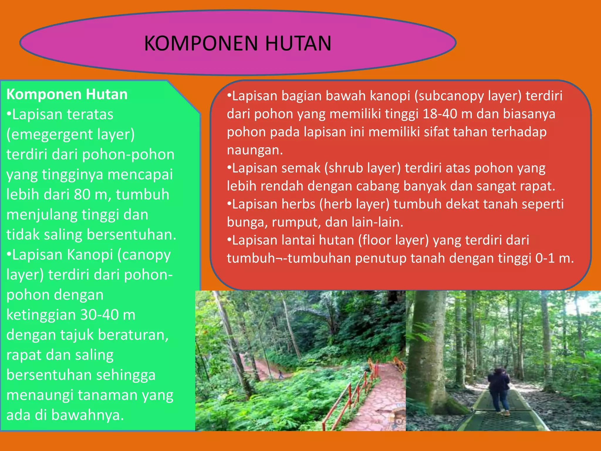 Ekologi Taman Hutan Raya Ir. H. Djuanda | PPTX
