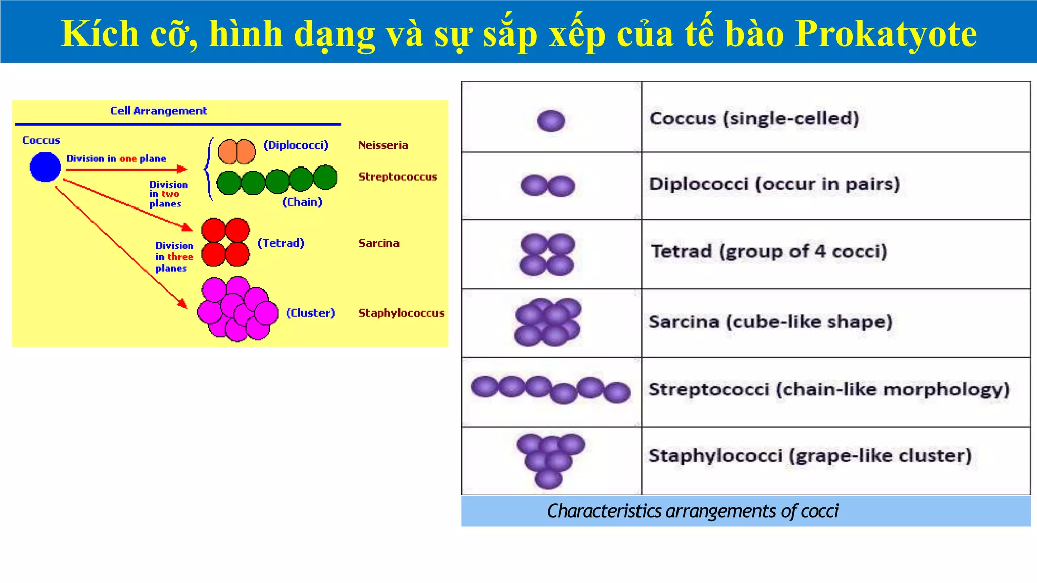 Tai bai len 4.pptx