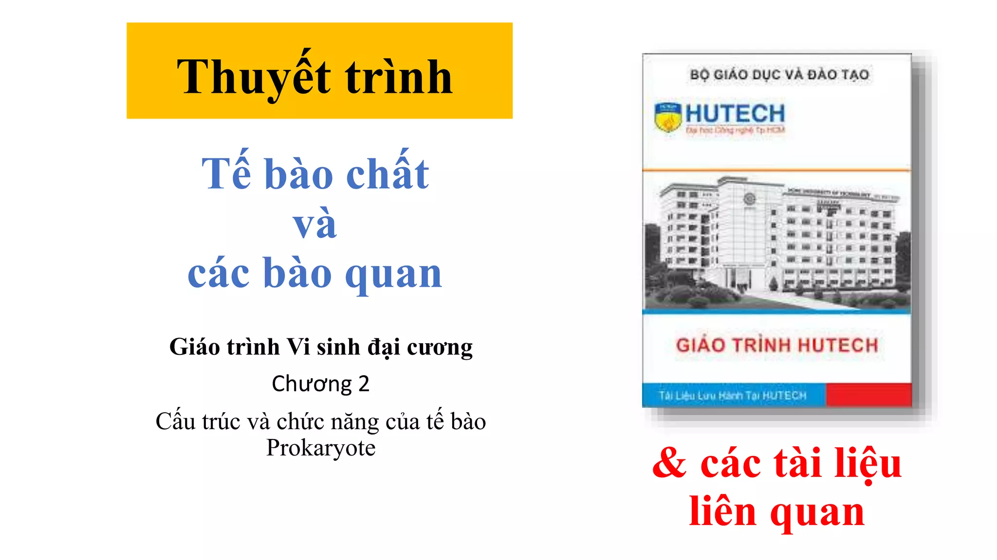 Tai bai len 4.pptx
