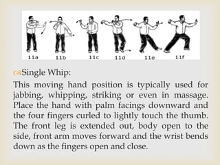 Tai Chi 太極拳 | PPTX