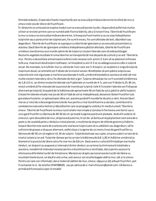 Taierea la mur si zzmeur | PDF