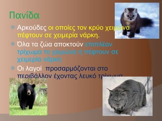 Taiga | PPT